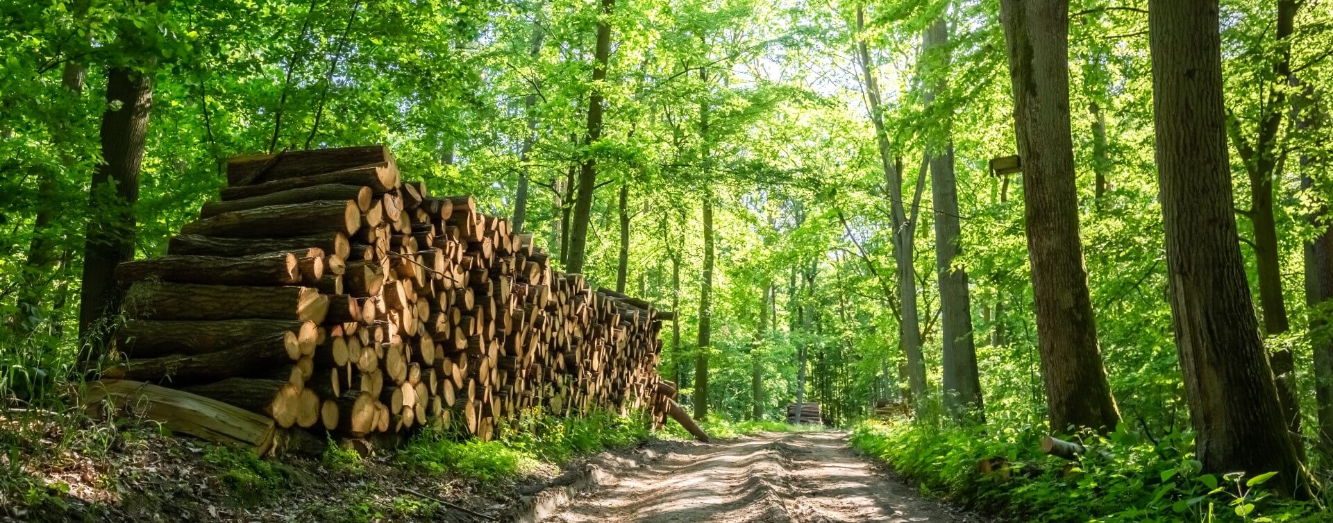 Mitigation Credits 101: Understanding the Basics of Environmental Offsets